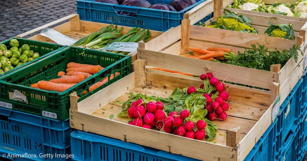 Saisonkalender: Obst und Gemüse frisch und regional einkaufen ...
